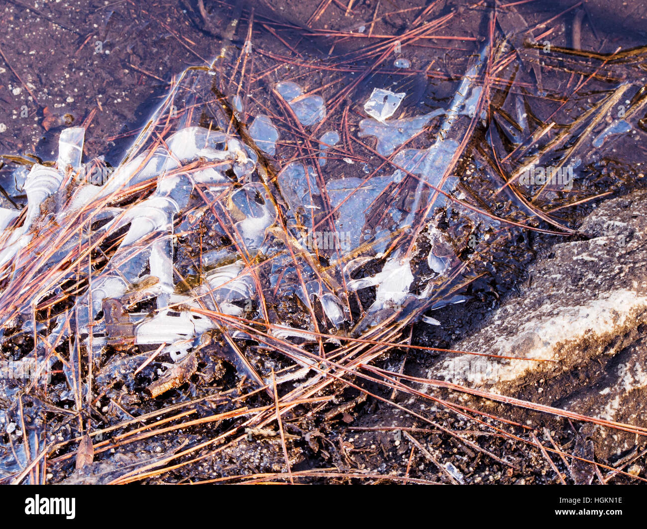 California Ice Plants Stock Photos & California Ice Plants Stock Images ...