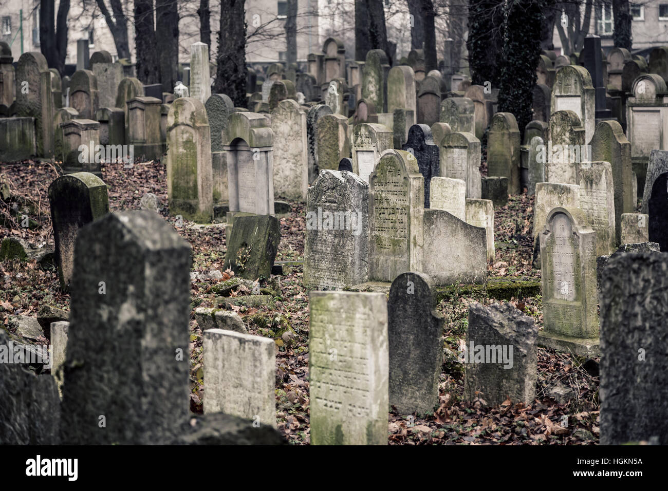 Jewish heritage krakow hi-res stock photography and images - Alamy