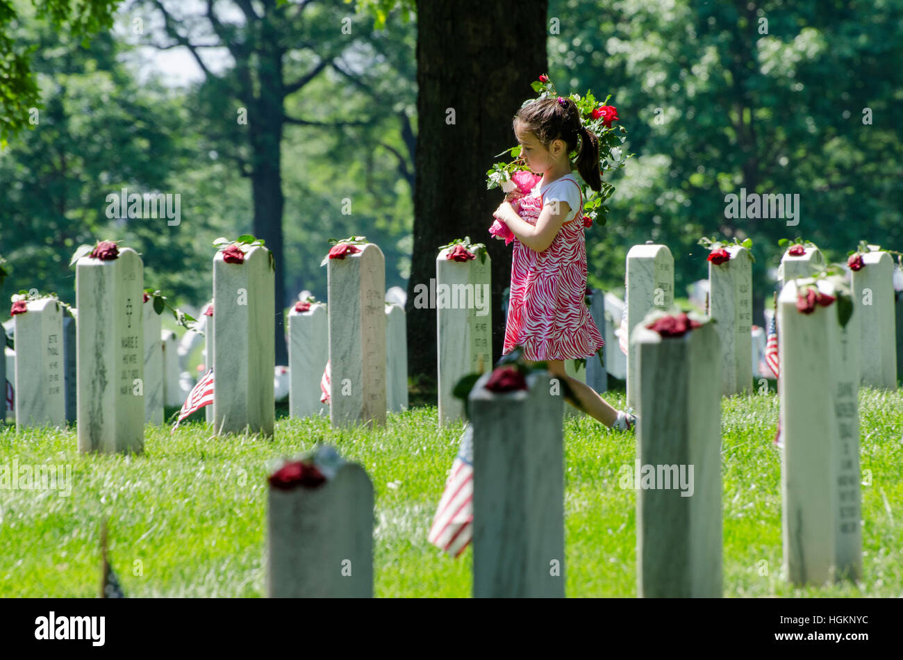 A young girl carries red roses, symbols of Memorial Day, to graves at ...