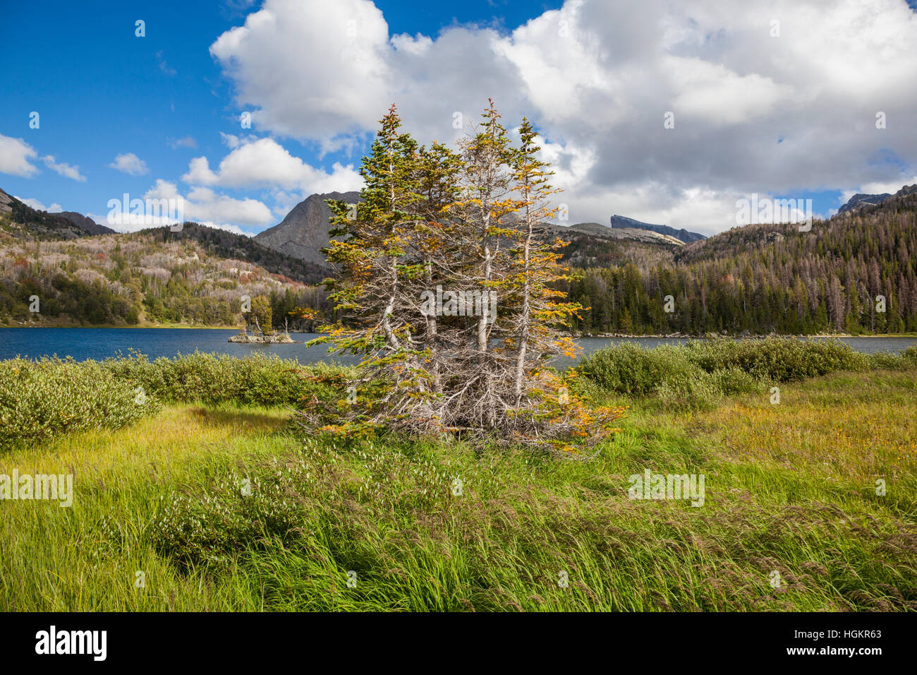 Big sandy lake hi-res stock photography and images - Alamy