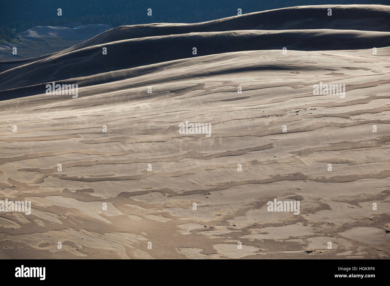 Large sand ripples formed by wind, Great Sand Dunes National Park ...