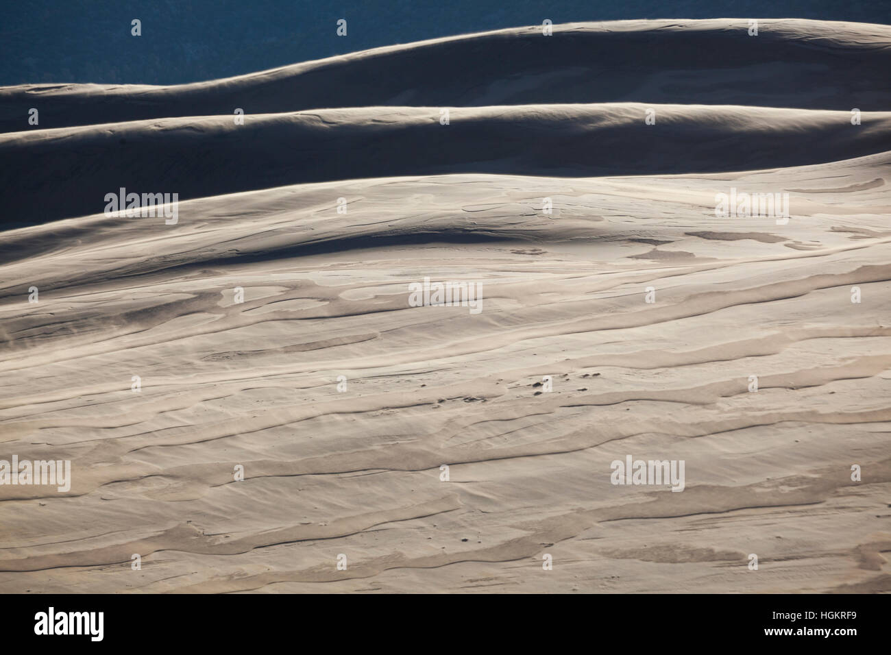 Large sand ripples formed by wind, Great Sand Dunes National Park ...