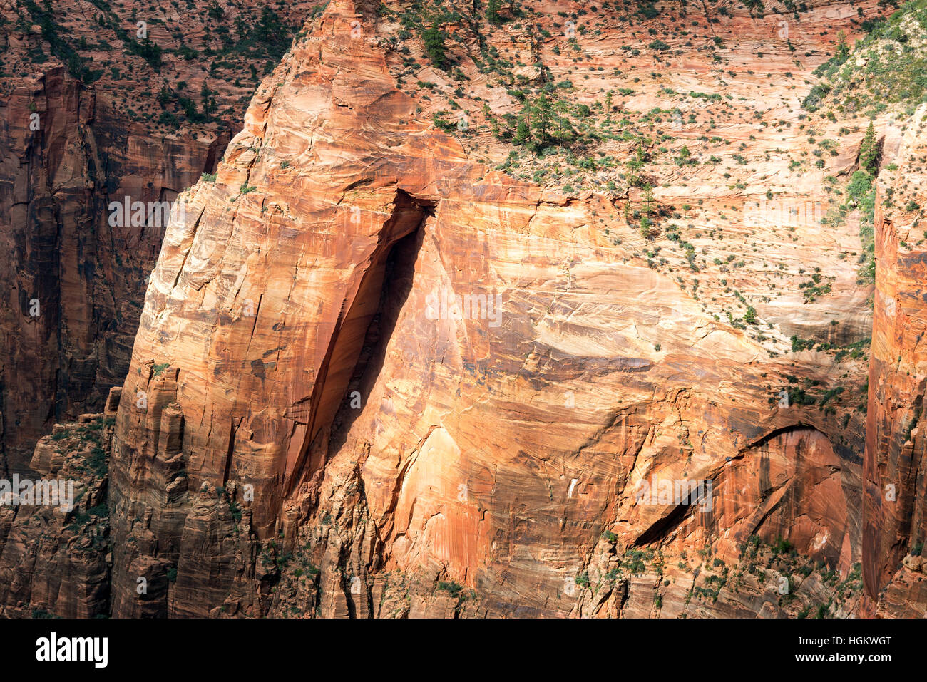 Beautiful rock formation in Zion National Park Stock Photo - Alamy