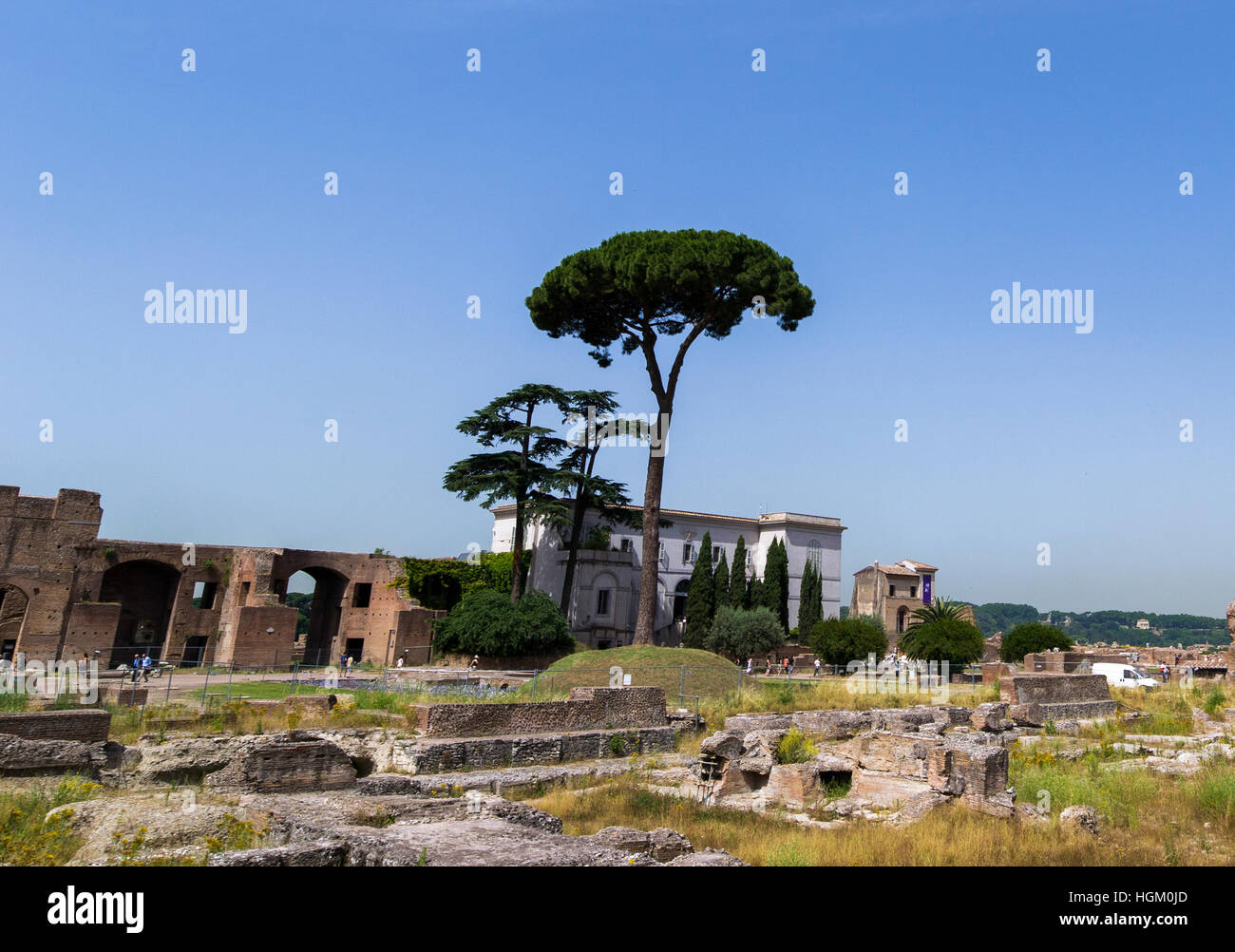 Trees growing over ancient ruins Stock Photo - Alamy
