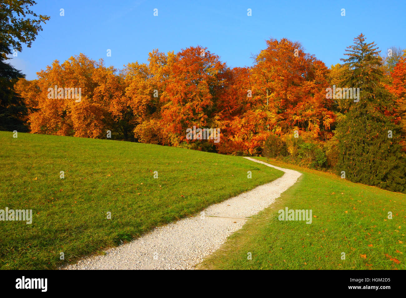 Path through a park with beautiful fall colors Stock Photo - Alamy