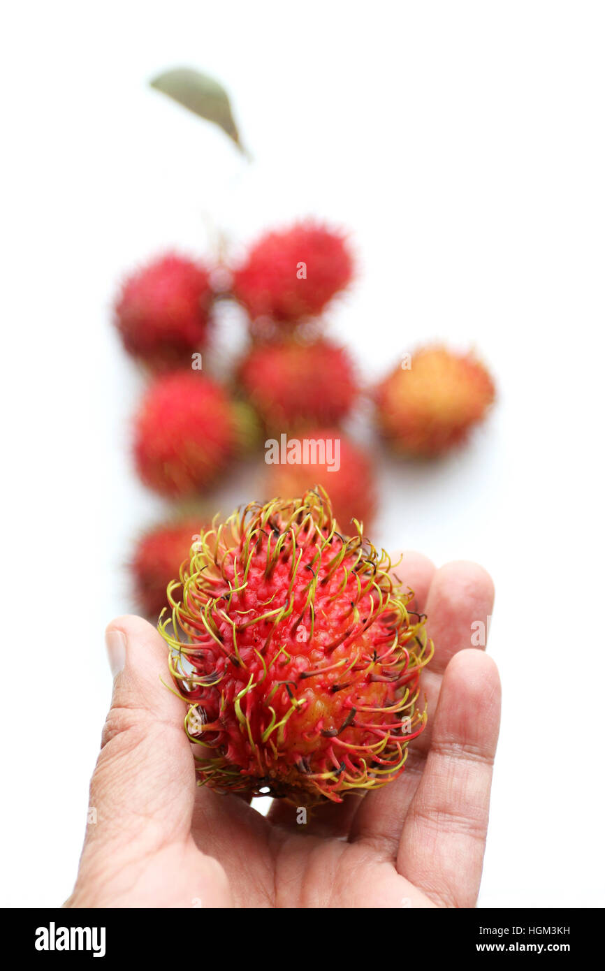 Close up of Nephelium lappaceum or also known as Rambutan fruits ...
