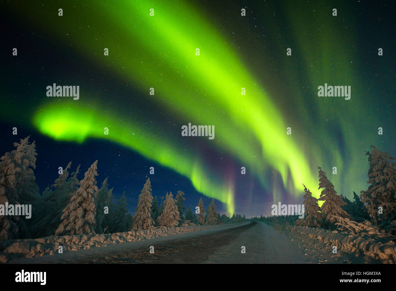Magnetic winter scene forest hi-res stock photography and images - Alamy