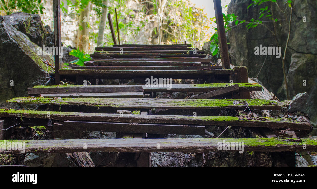 Stairway jungle hi-res stock photography and images - Alamy