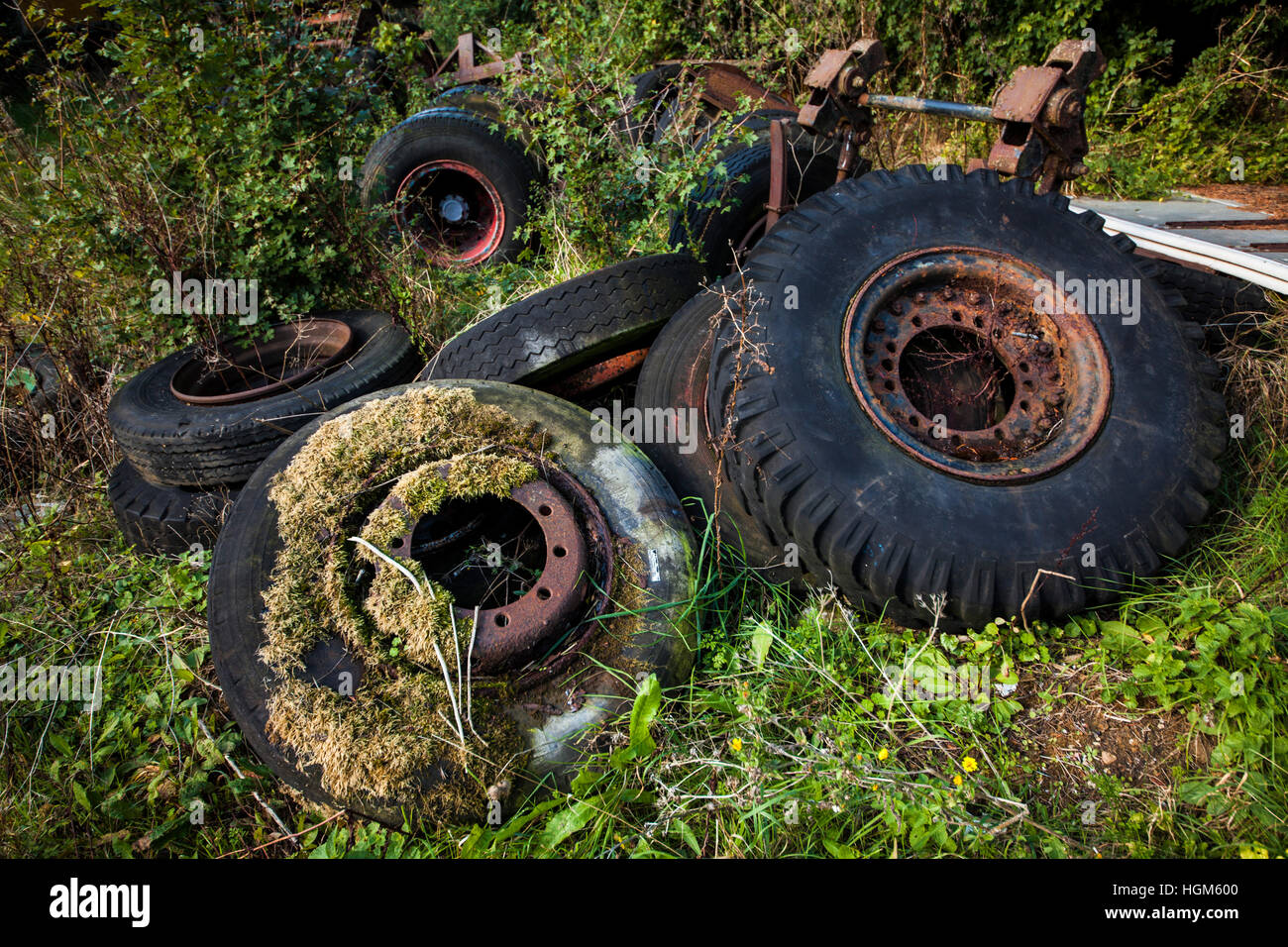 Old rusty wheels in a field with rubber tires Stock Photo - Alamy
