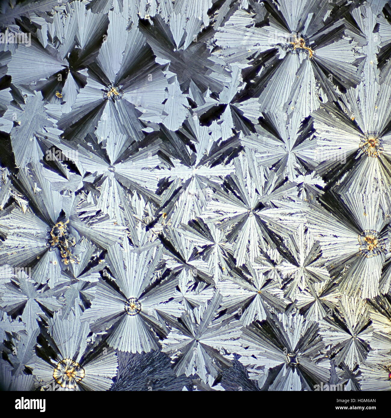 Microscope image of paracetamol in crystallized form Stock Photo - Alamy