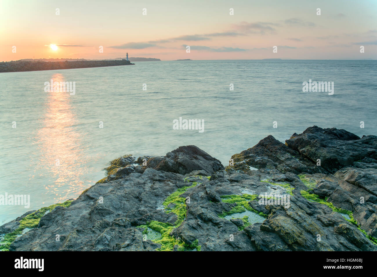 Jackson bay hi-res stock photography and images - Alamy