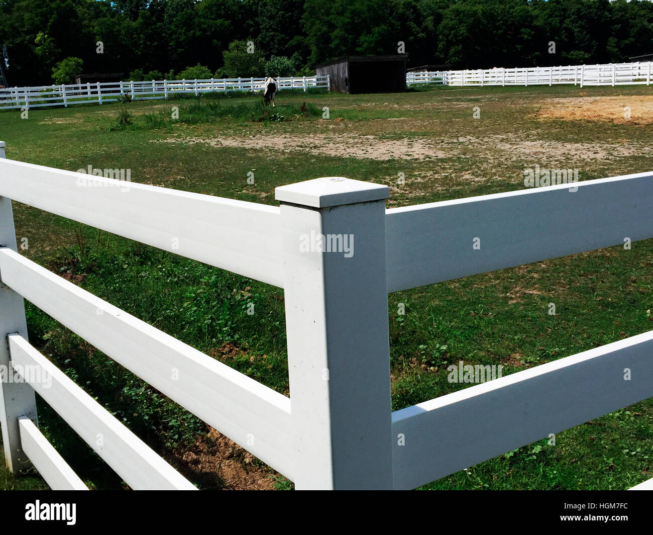 Empty enclosure hi-res stock photography and images - Alamy