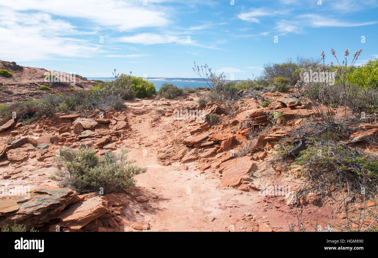 Rugged, vegetated sandstone trail to Red Bluff beach with a hint of the ...