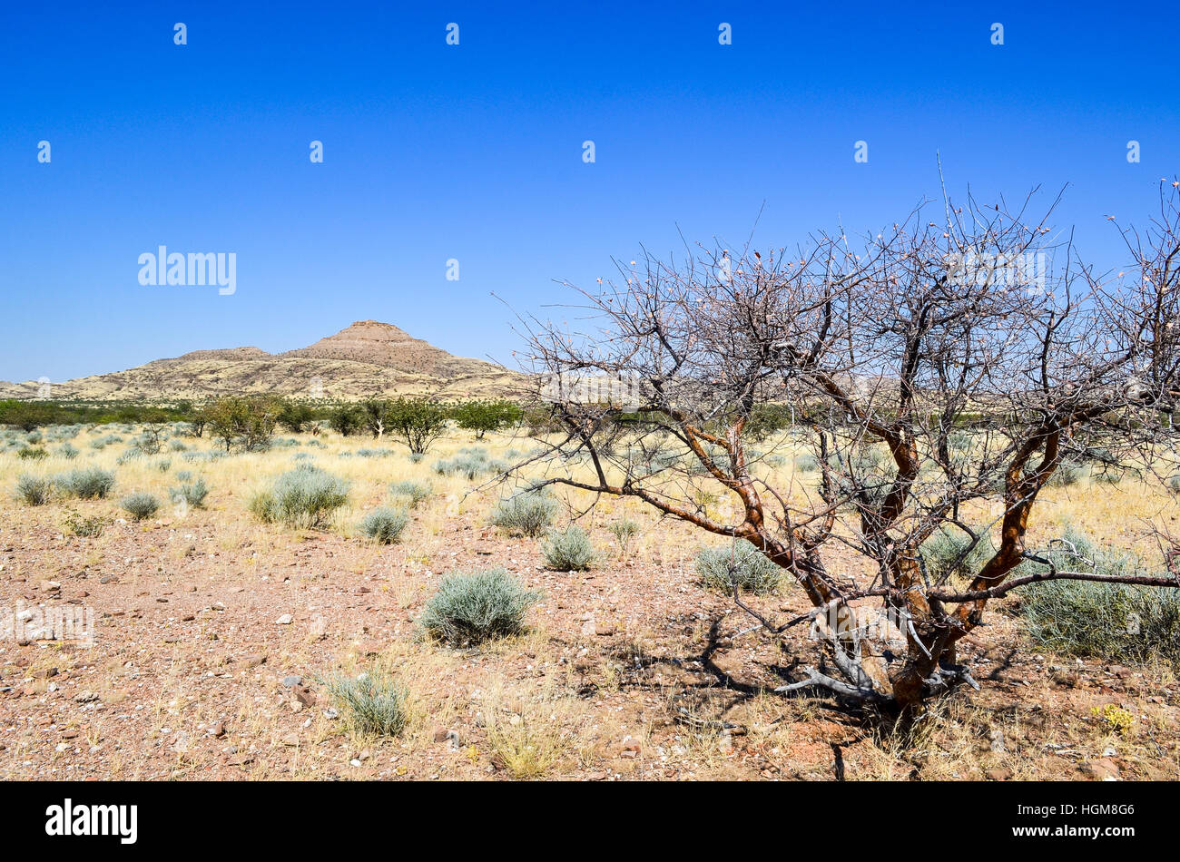 Hills of Damaraland, Namibia Stock Photo - Alamy