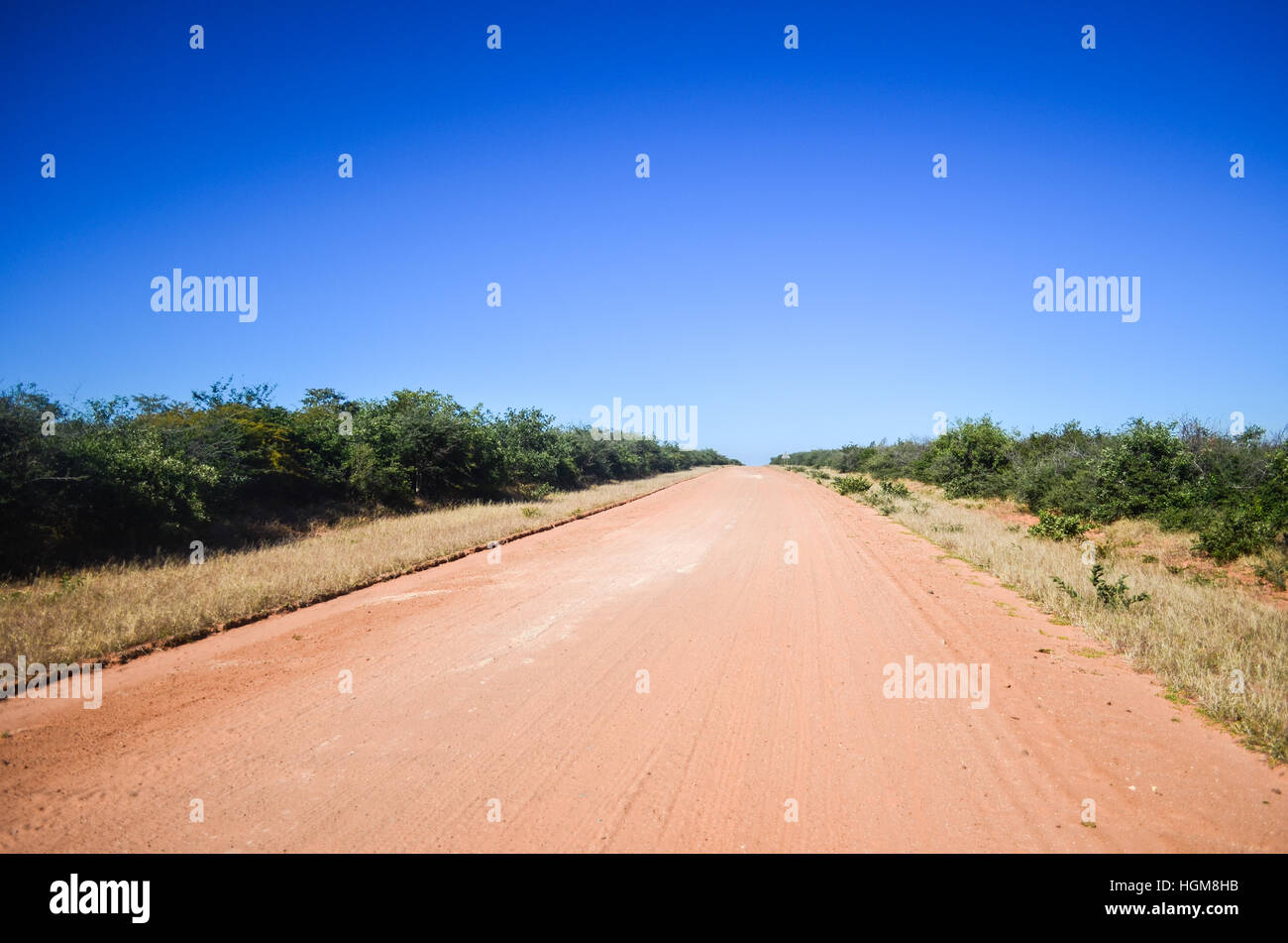Red earth dirt road in northern Namibia Stock Photo - Alamy
