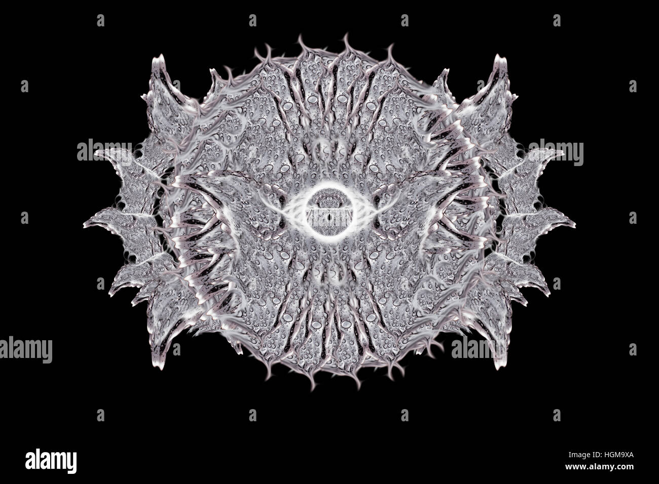 Artistic building designs ,Antique spiritual designs made from water ...