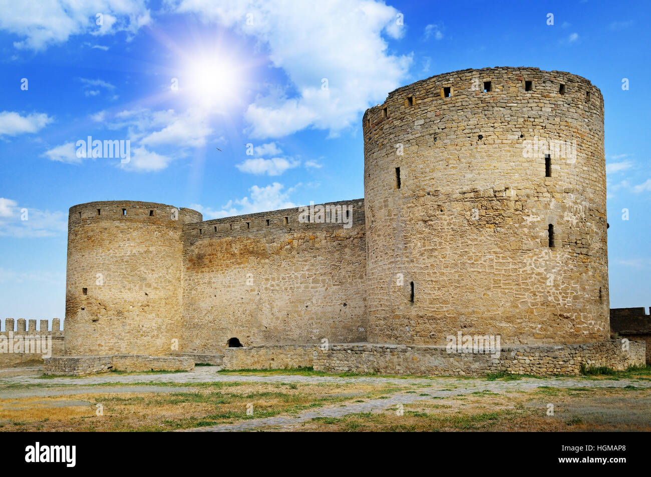 Ackerman hi-res stock photography and images - Alamy