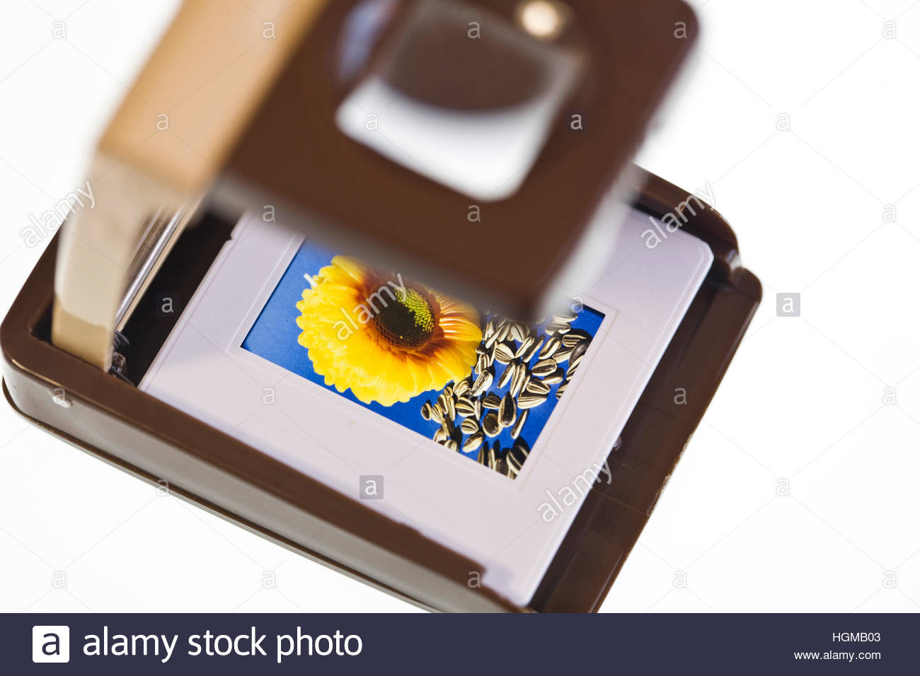 Slide Viewer High Resolution Stock Photography and Images - Alamy