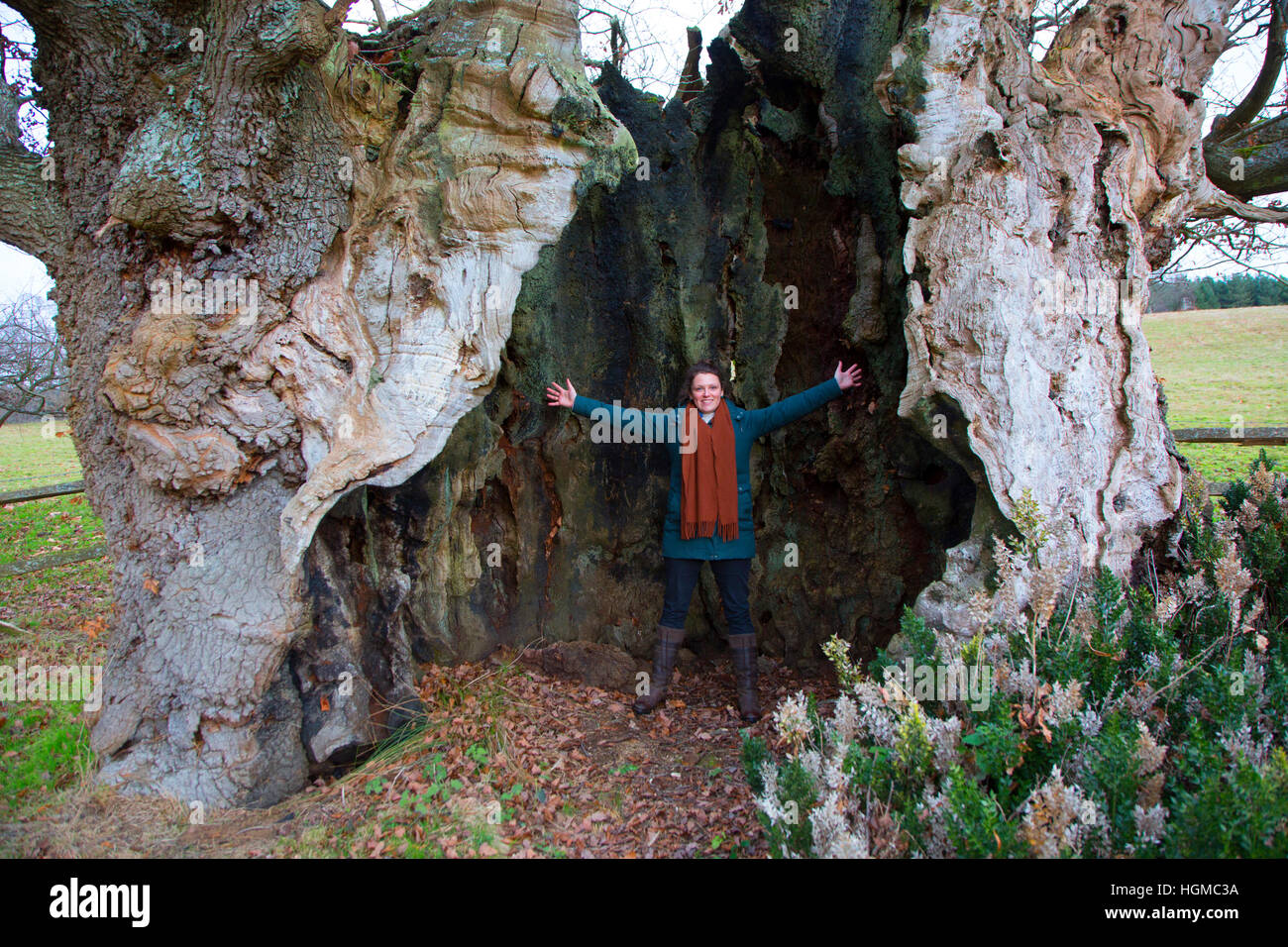 arms, spread, to show, size, of.,dog walker ,woman, walking, Benbow ...