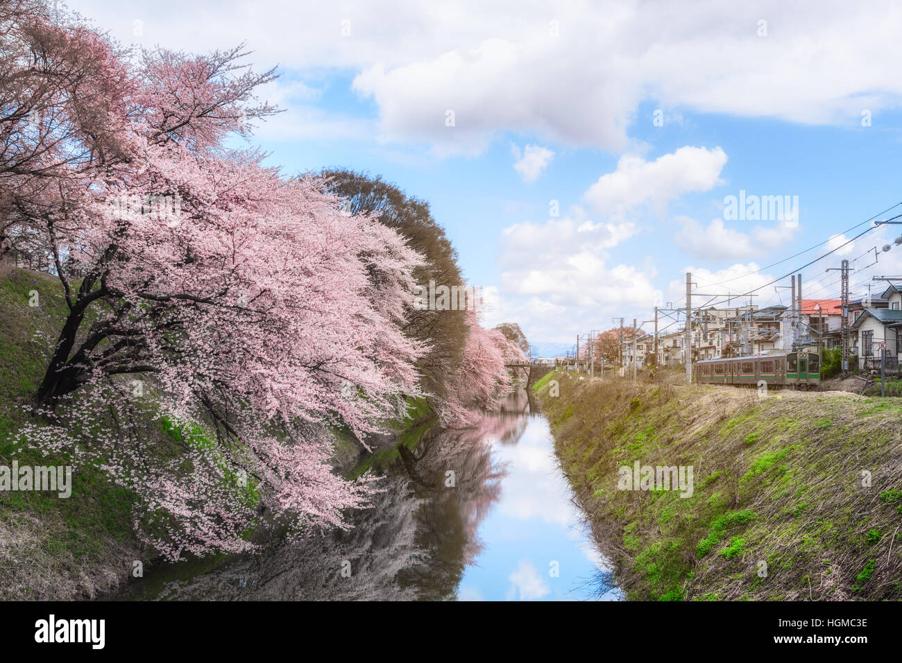 Cherry blossom tree and trains in Japan with light for background Stock ...
