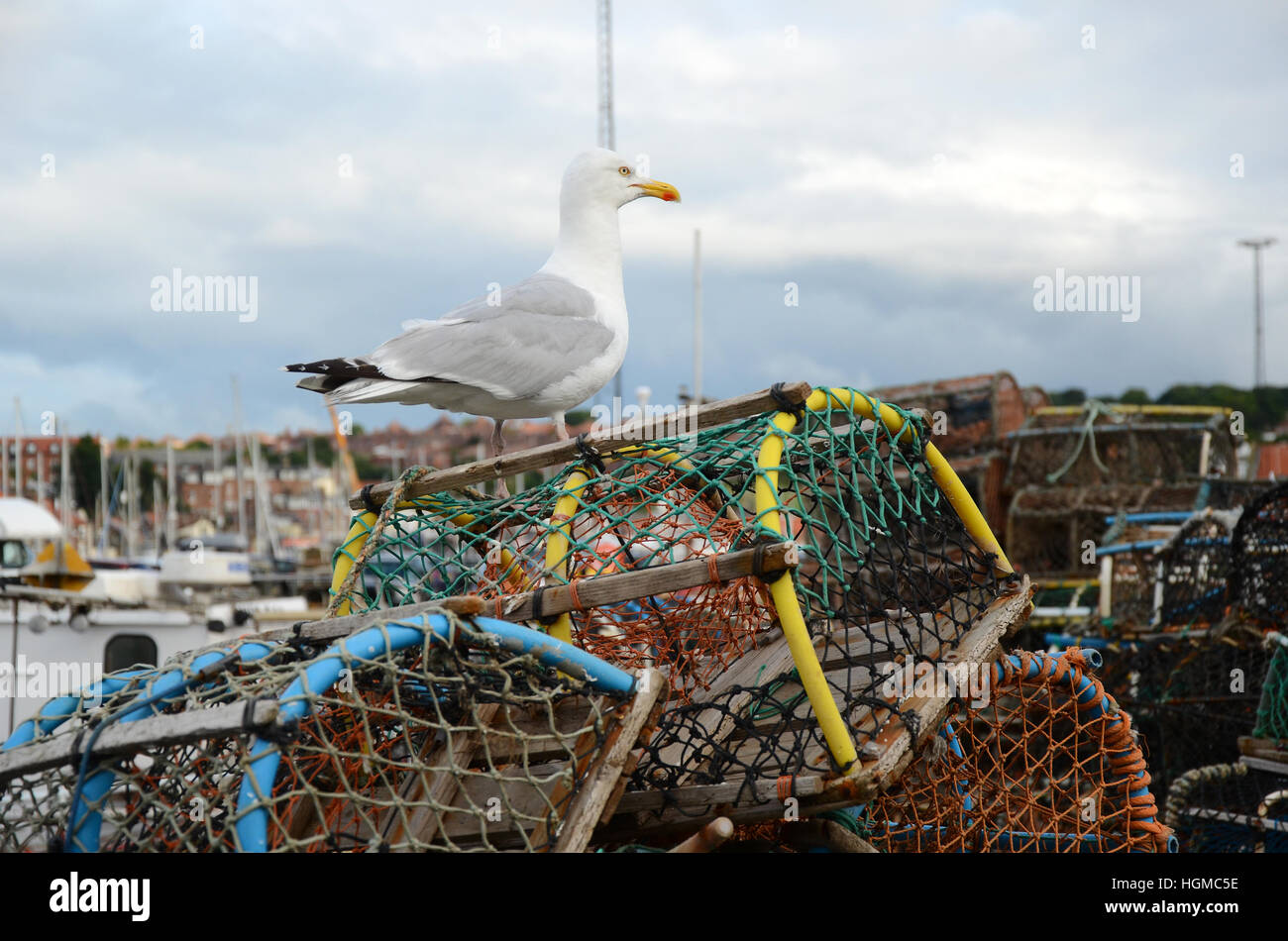 Whitby sea defences hi-res stock photography and images - Alamy