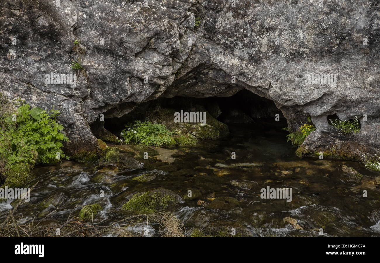Underground river issuing from limestone cave, in the Koscielska valley ...