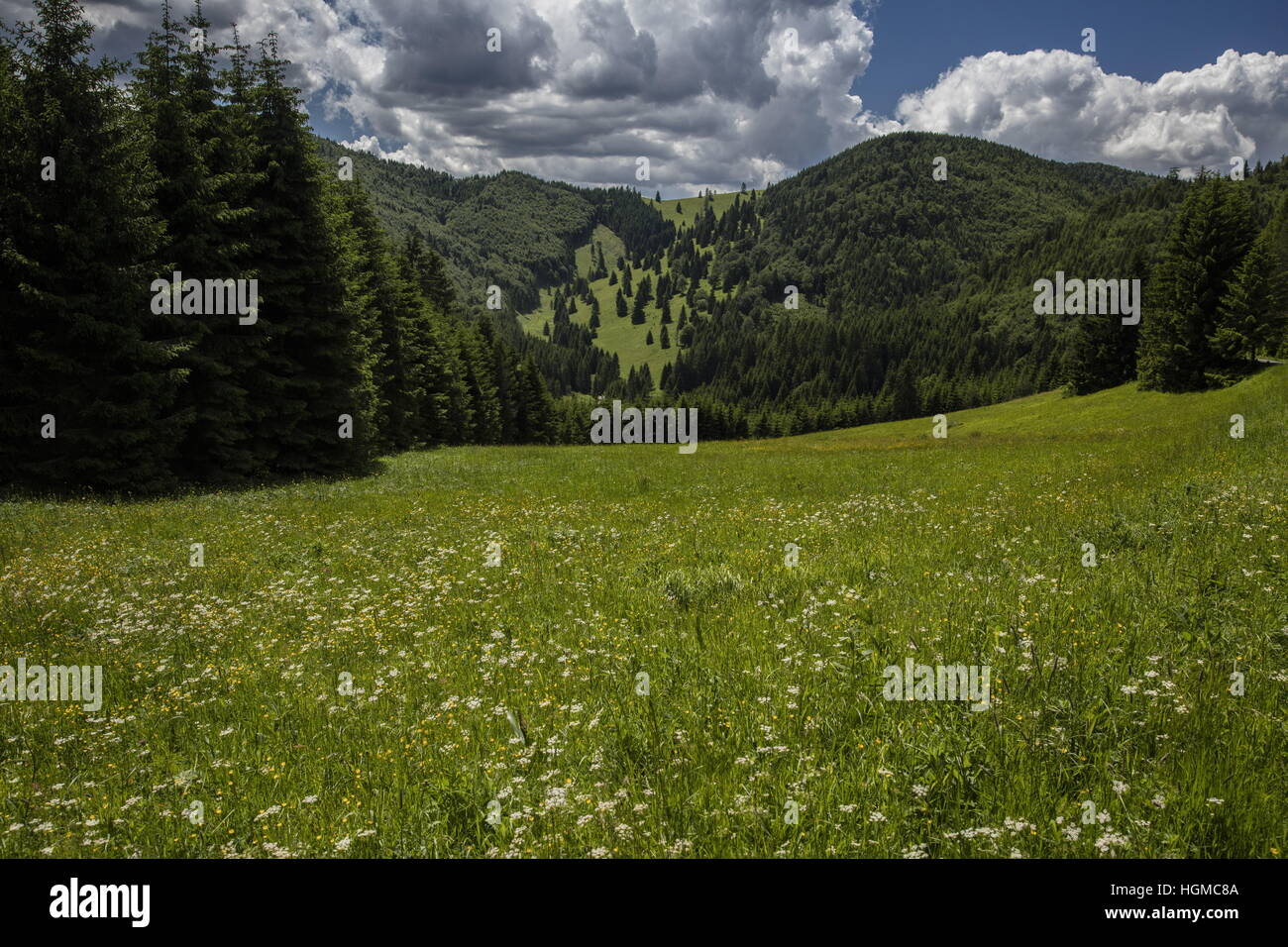 Slovensky Stock Photos & Slovensky Stock Images - Alamy