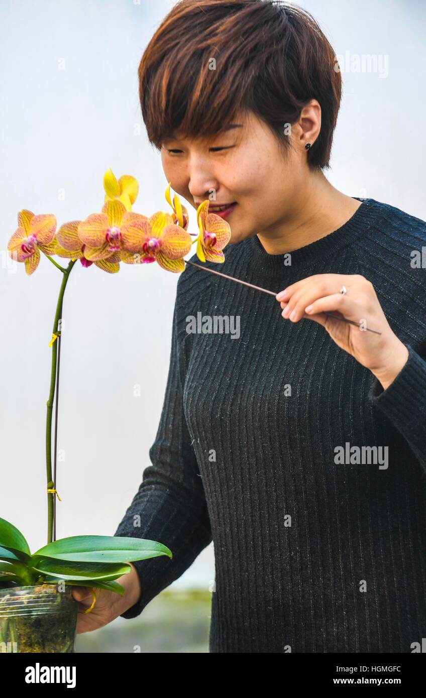 Anping, China's Hebei Province. 11th Jan, 2017. A woman selects flowers ...