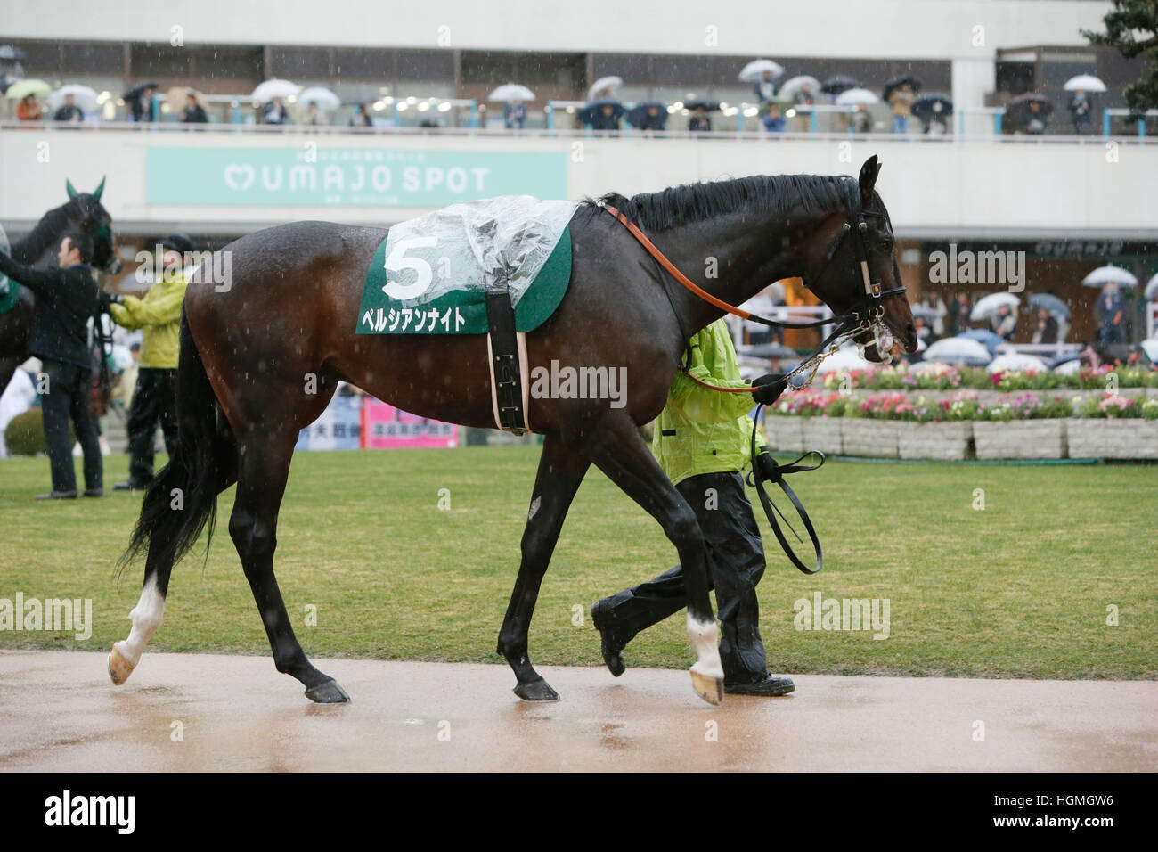 Kyoto, Japan. 8th Jan, 2017. Persian Knight Horse Racing : Persian ...
