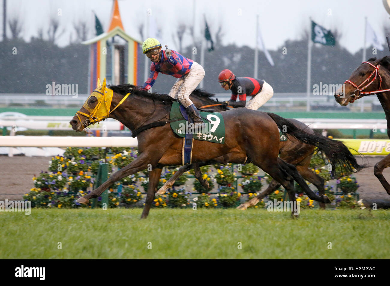 Kyoto, Japan. 8th Jan, 2017. Kyohei (Ryo Takakura) Horse Racing ...