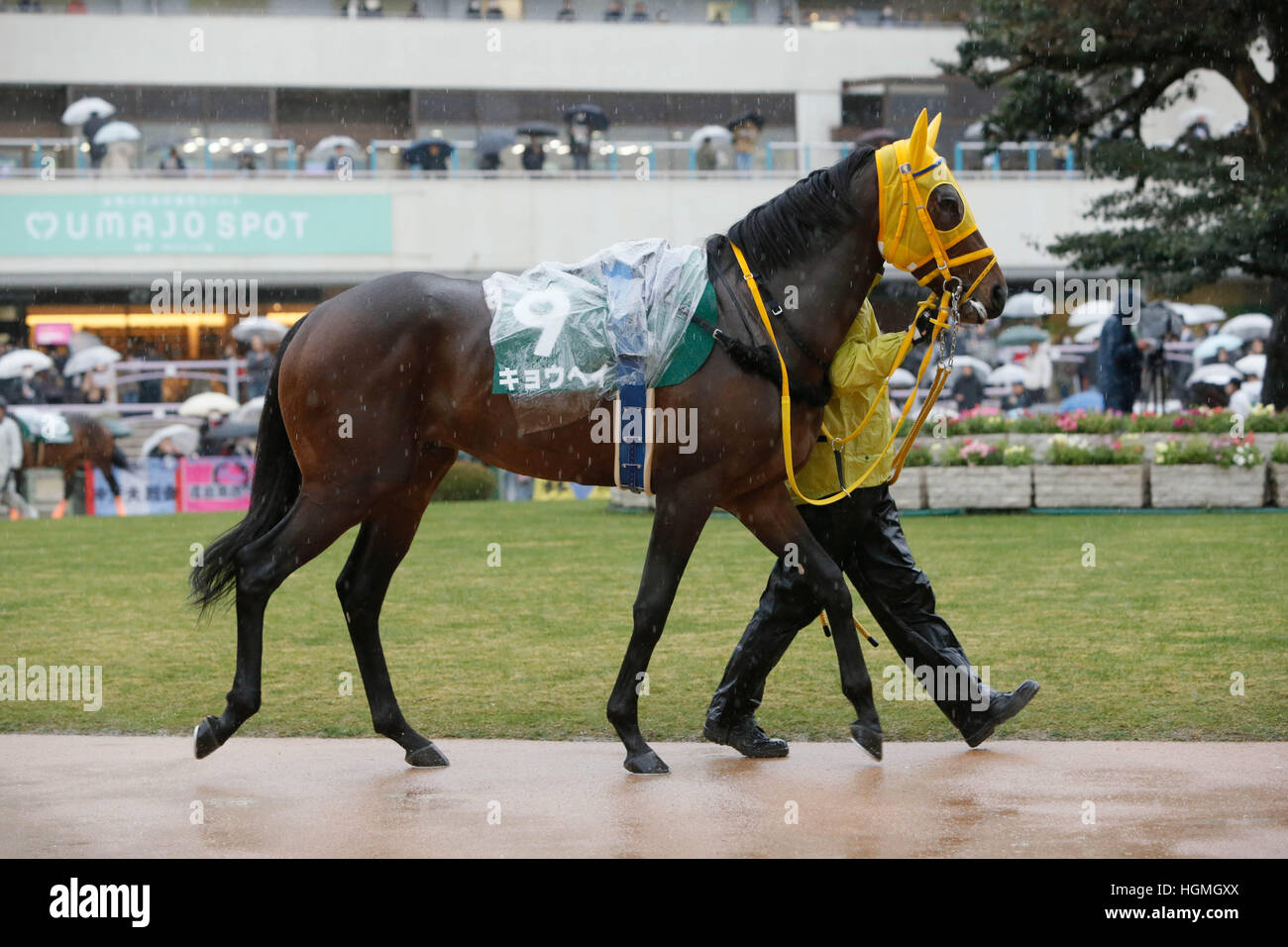 Kyoto, Japan. 8th Jan, 2017. Kyohei Horse Racing : Kyohei is led ...