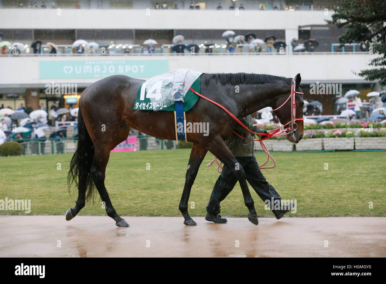 Kyoto, Japan. 8th Jan, 2017. Taisei Starry Horse Racing : Taisei Starry ...