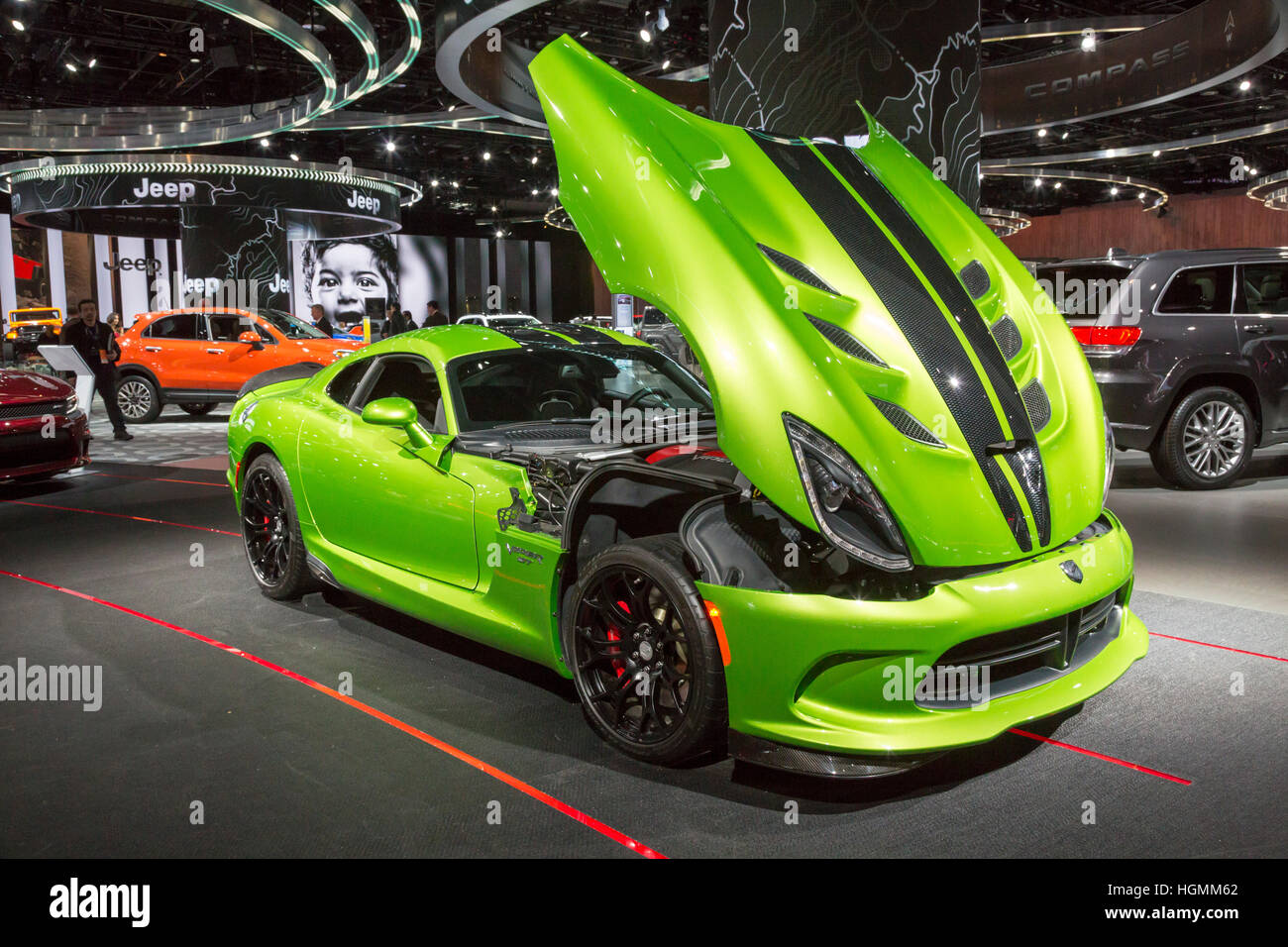 Lime Green Viper