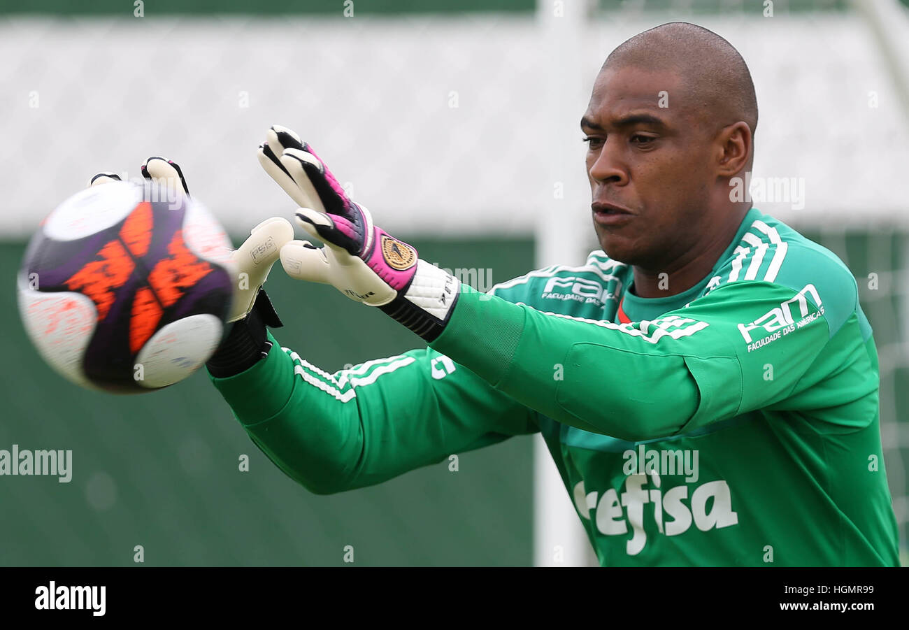 Sao Paulo, Brazil. 11th Jan, 2017. Goalkeeper Jailson, SE Palmeiras ...