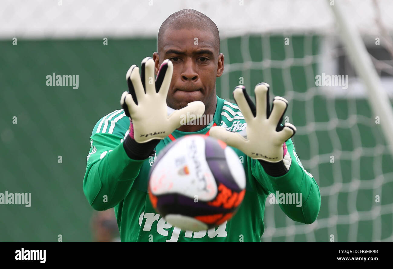 Sao Paulo, Brazil. 11th Jan, 2017. Goalkeeper Jailson, SE Palmeiras ...