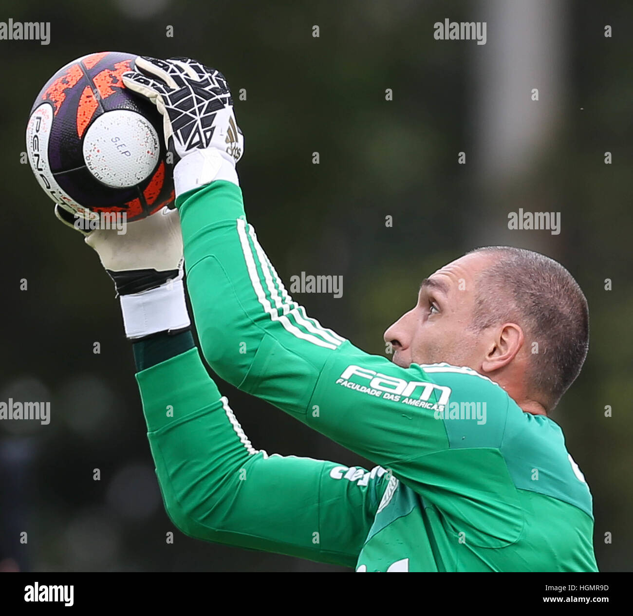 Sao Paulo, Brazil. 11th Jan, 2017. The goalkeeper Fernando Prass, SE ...