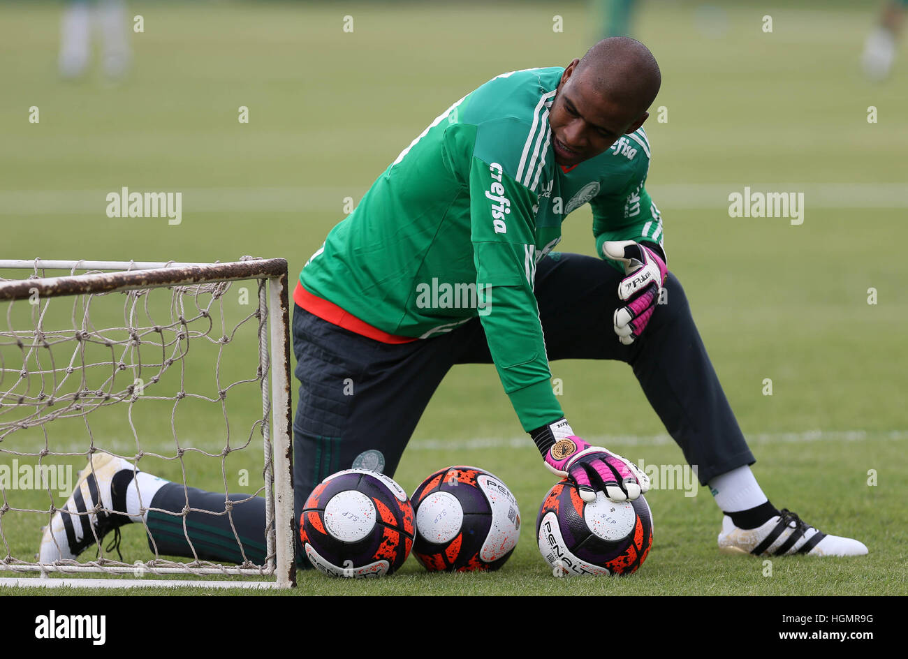 Sao Paulo, Brazil. 11th Jan, 2017. Goalkeeper Jailson, SE Palmeiras ...