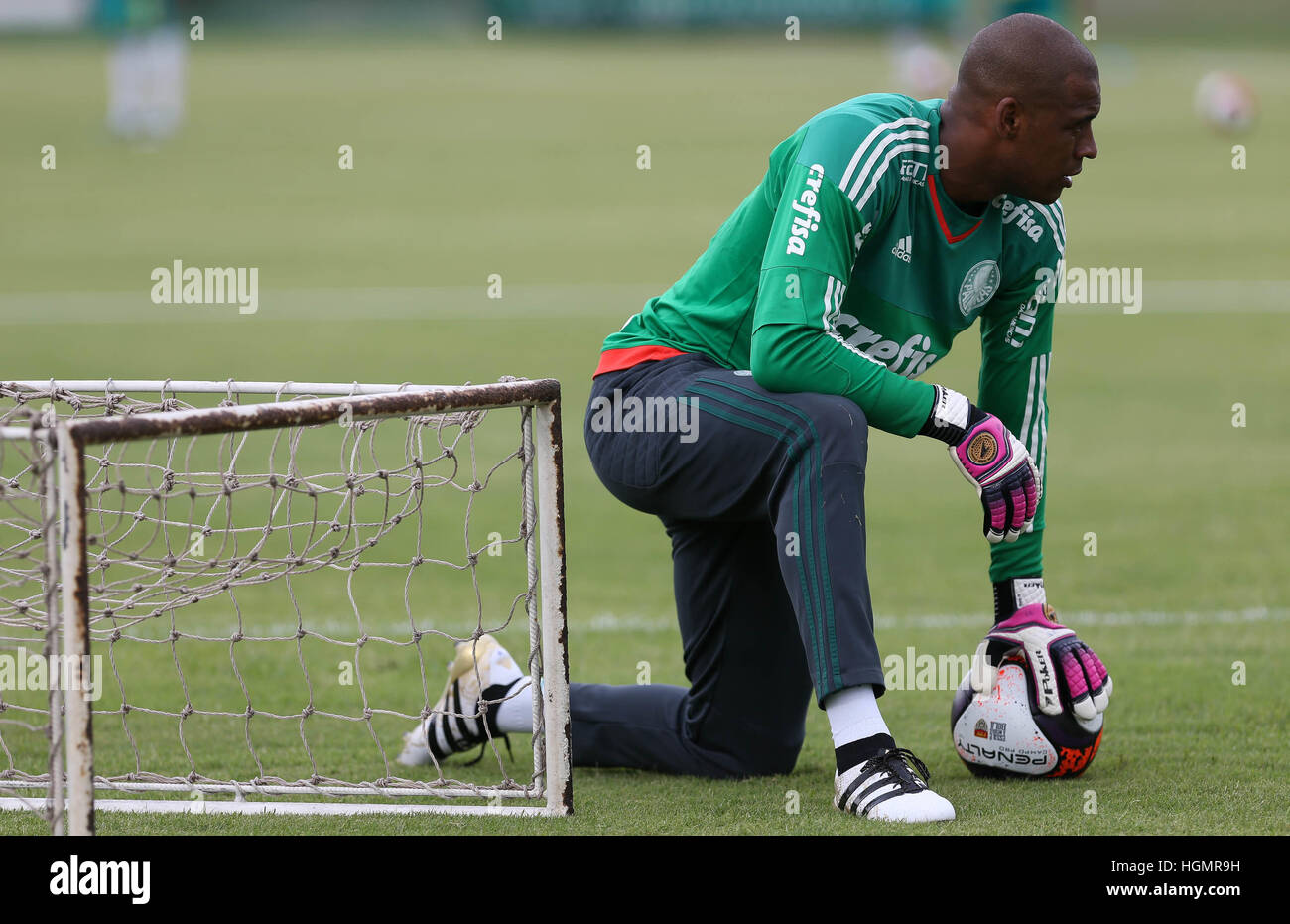 Sao Paulo, Brazil. 11th Jan, 2017. Goalkeeper Jailson, SE Palmeiras ...