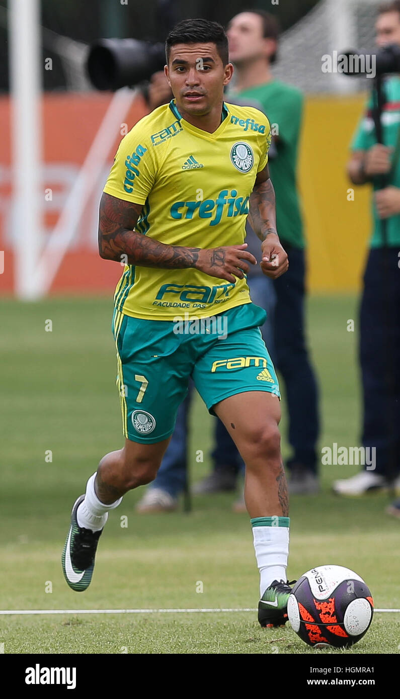 Sao Paulo, Brazil. 11th Jan, 2017. Dudu player, SE Palmeiras, during ...