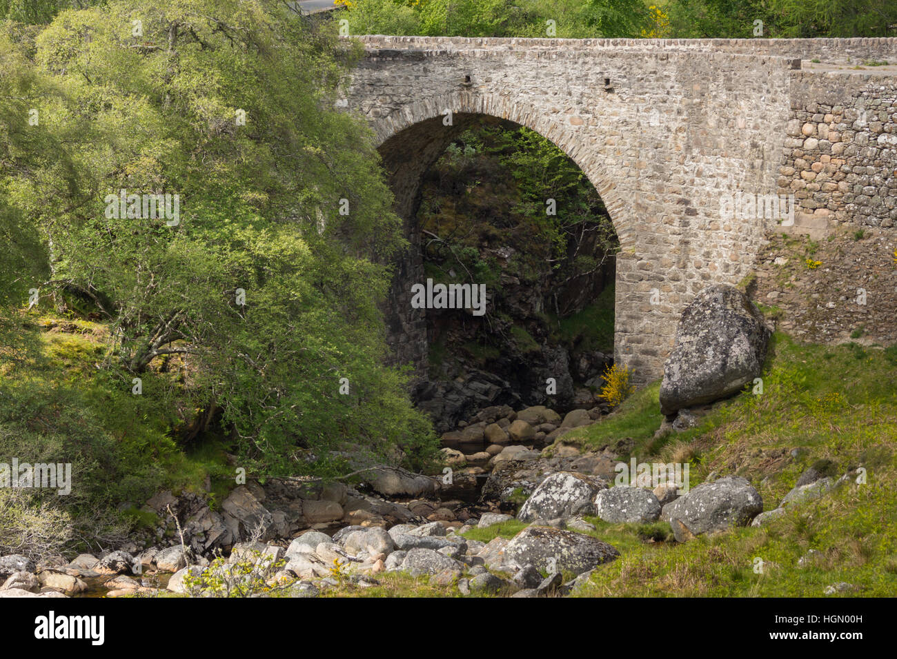 Fearn scotland hi-res stock photography and images - Alamy