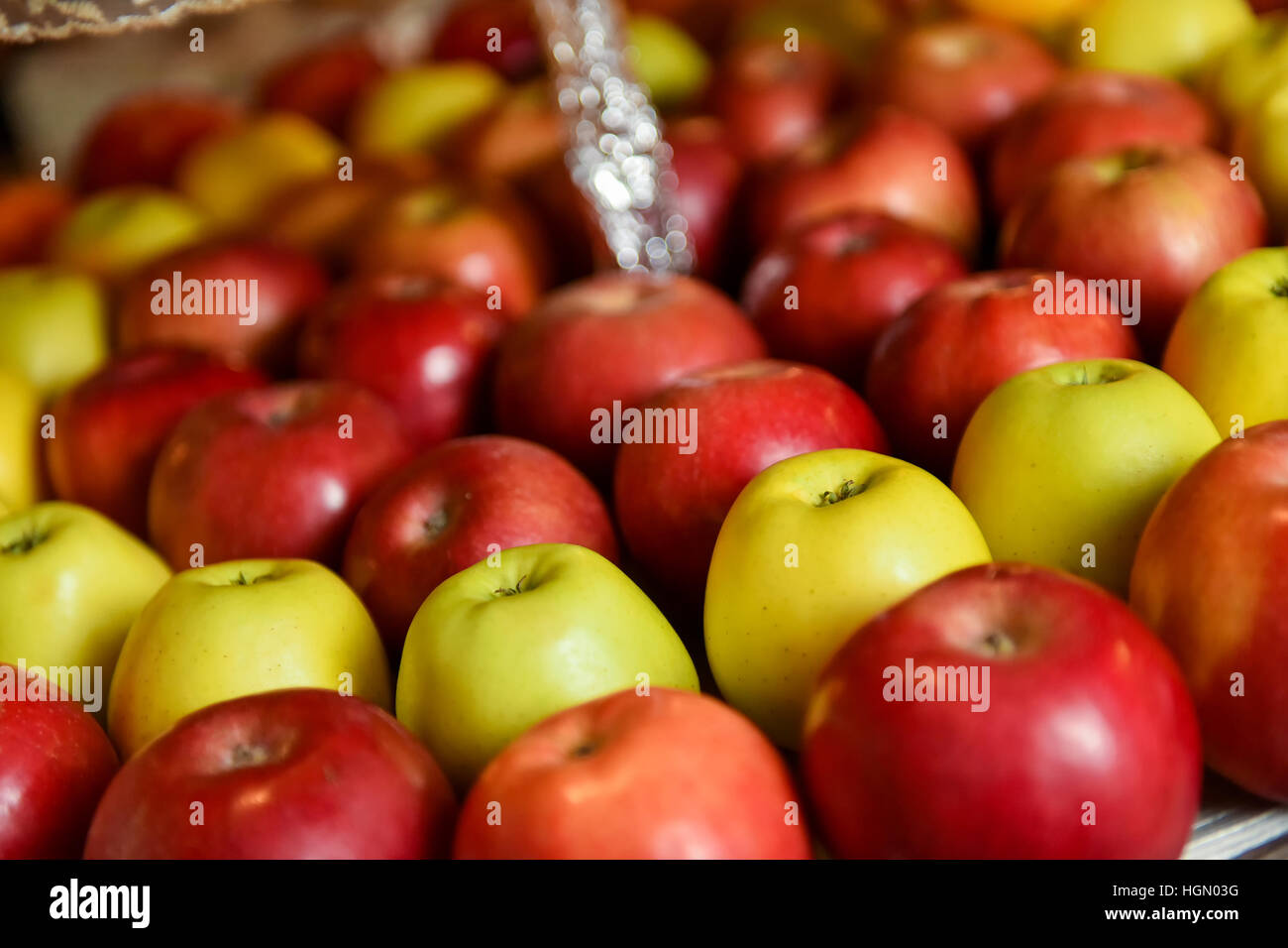 Red and green apples in natural light Stock Photo - Alamy