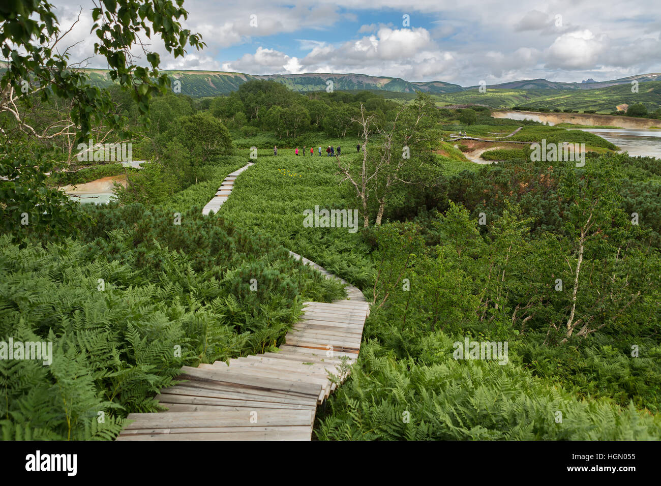 Wooden path in the Uzon Caldera. Kronotsky Nature Reserve Stock Photo ...