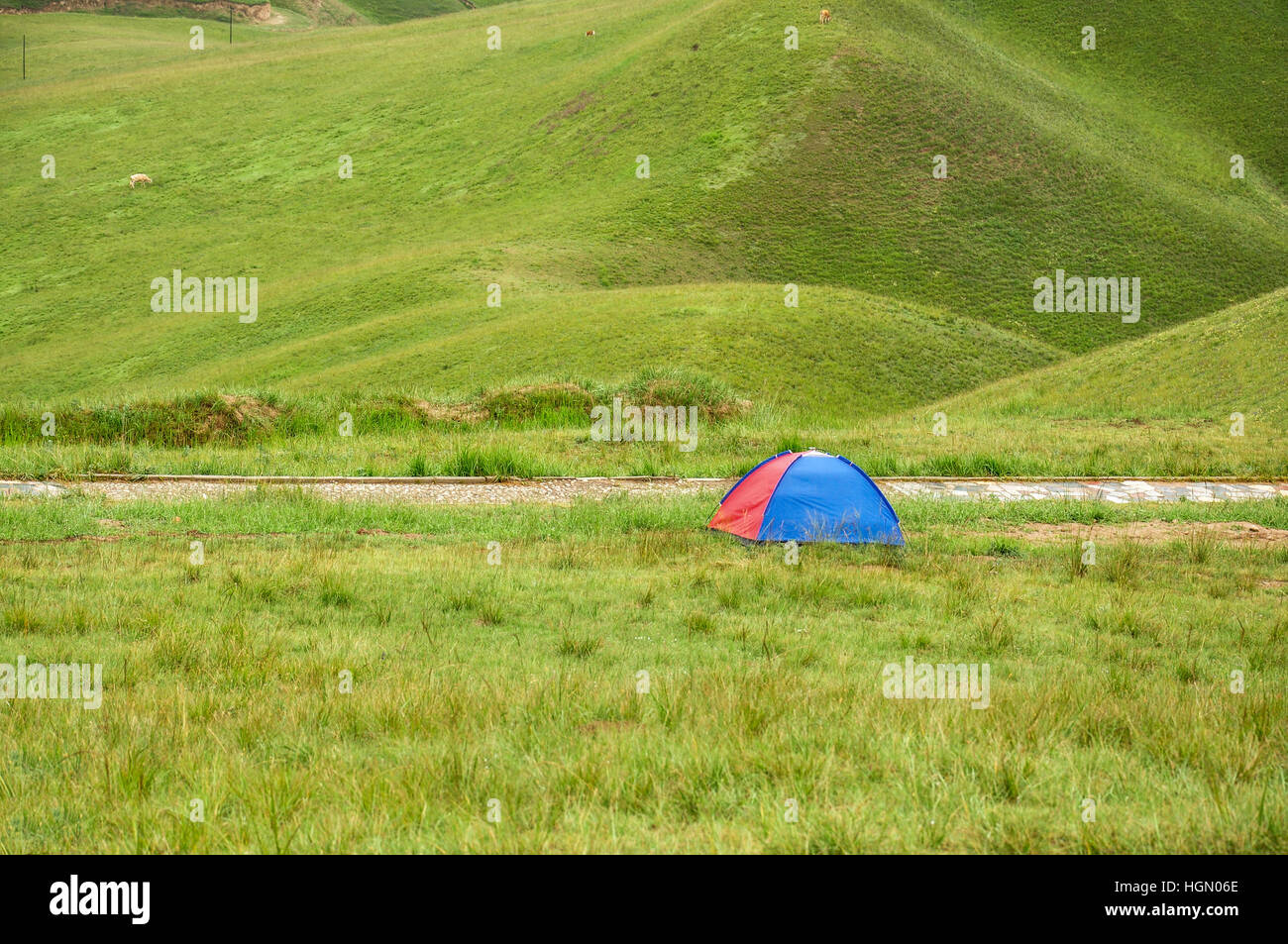 Grassland red tent hi-res stock photography and images - Alamy