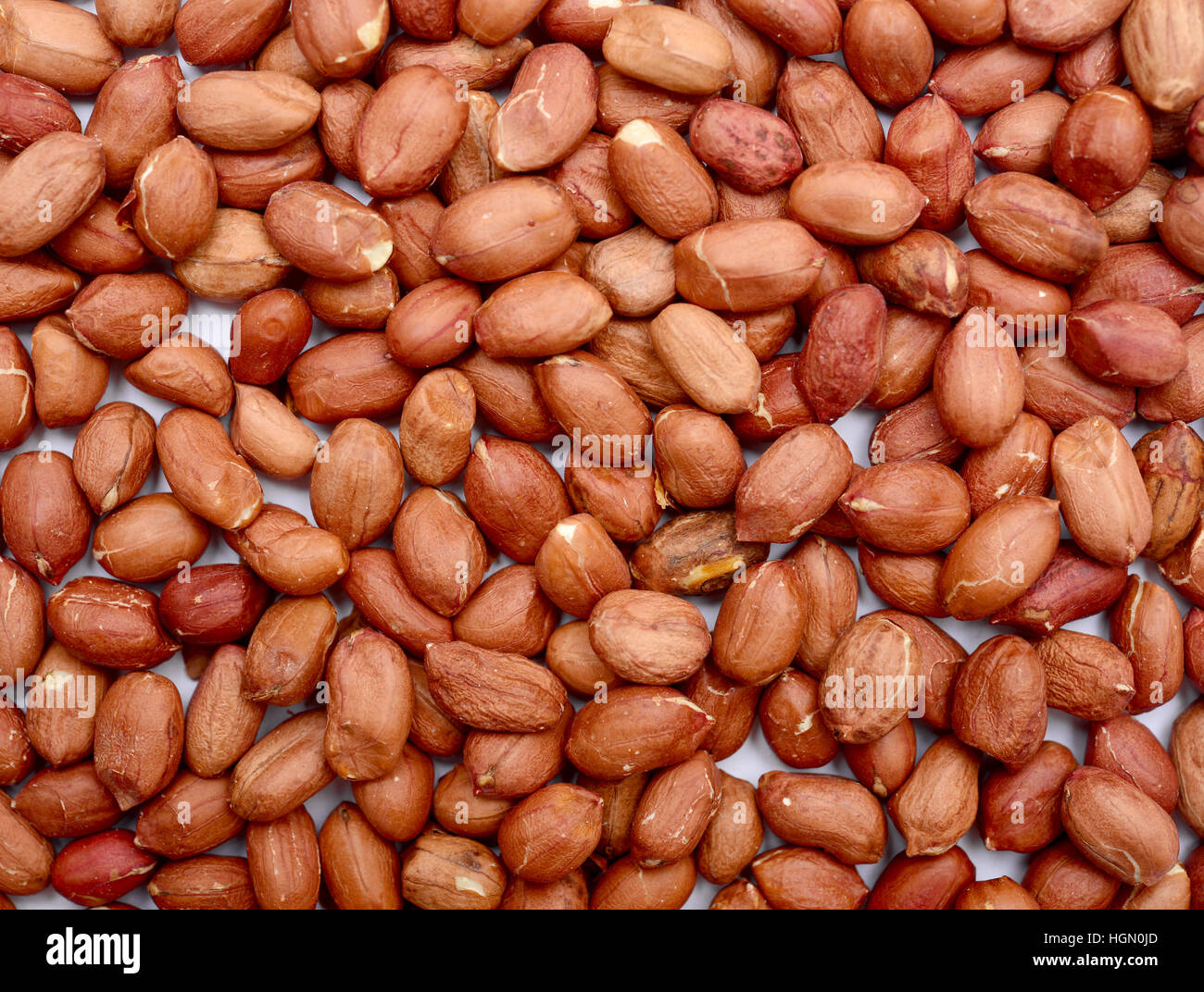 Groundnut Seed