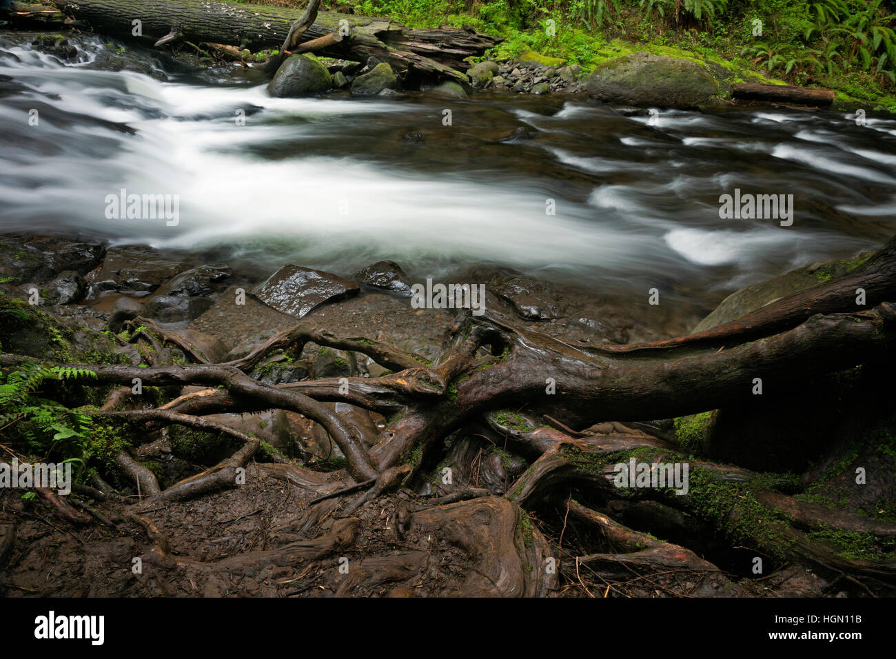 Multnomah falls hi-res stock photography and images - Alamy