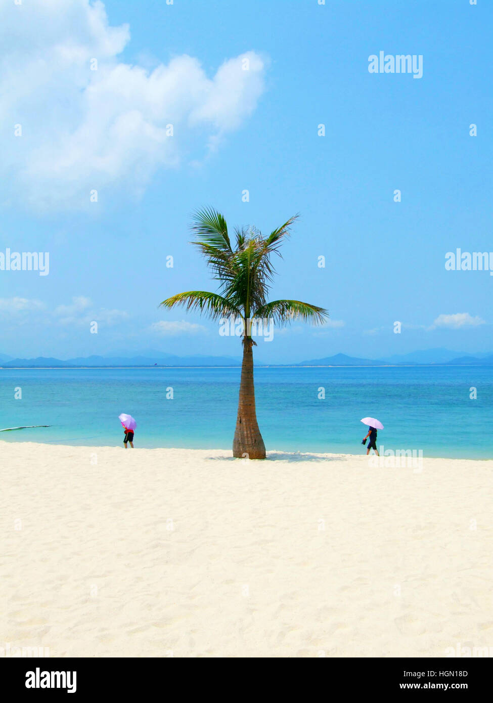 Coconut tree in beach Stock Photo - Alamy