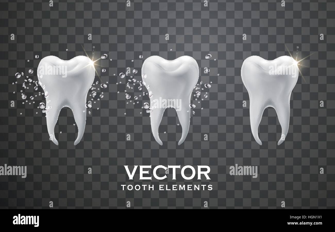 three clean and glossy teeth in a row, with water drop elements ...