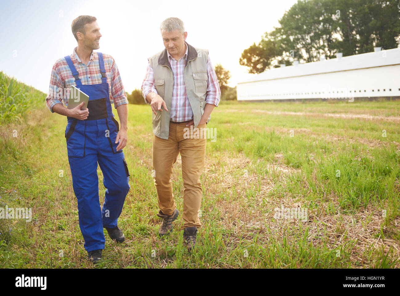 Experienced farmers on the field Stock Photo - Alamy