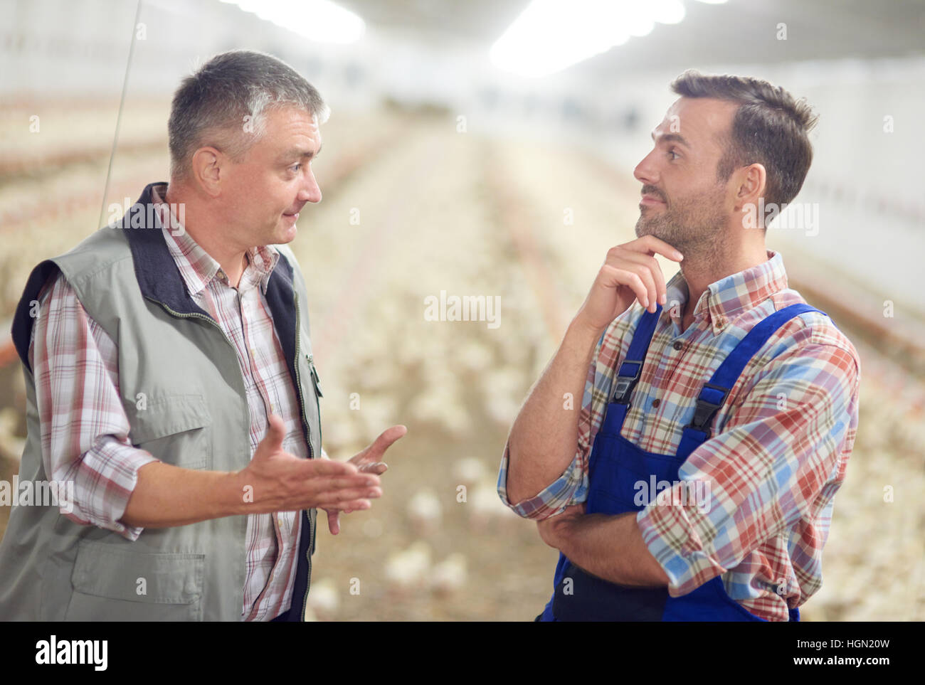 Discussion between two experienced farmers Stock Photo - Alamy