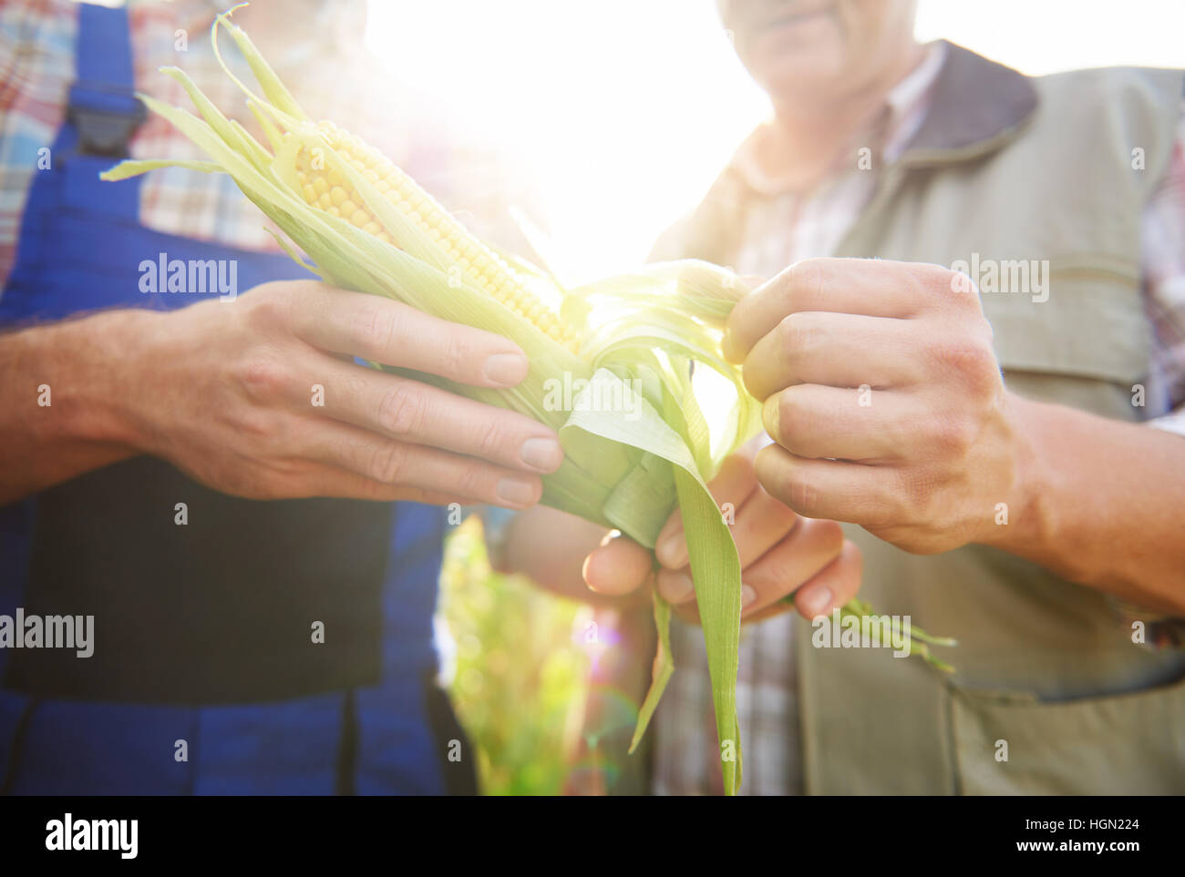Sunbeam cooperation hi-res stock photography and images - Alamy